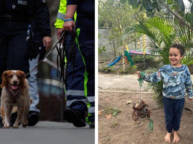 Suche nach vermisstem Noah (8): Detektiv findet Spur zum Busbahnhof ...