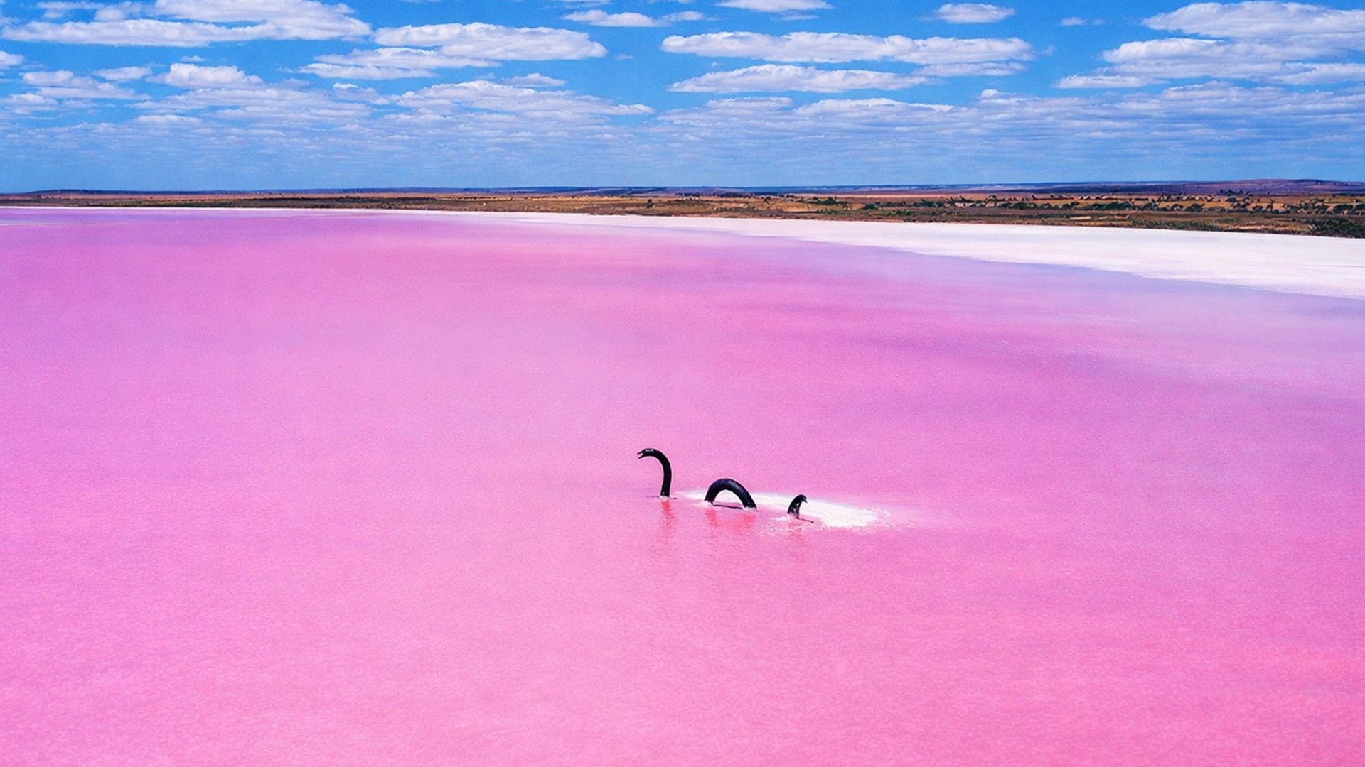 The pink lake with a surprise inside