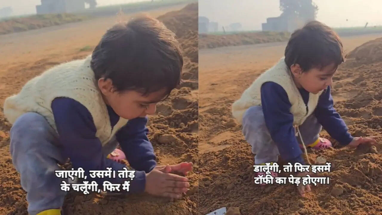 Little girl's 'toffee tree' dream goes viral; internet quips, 'life is ...