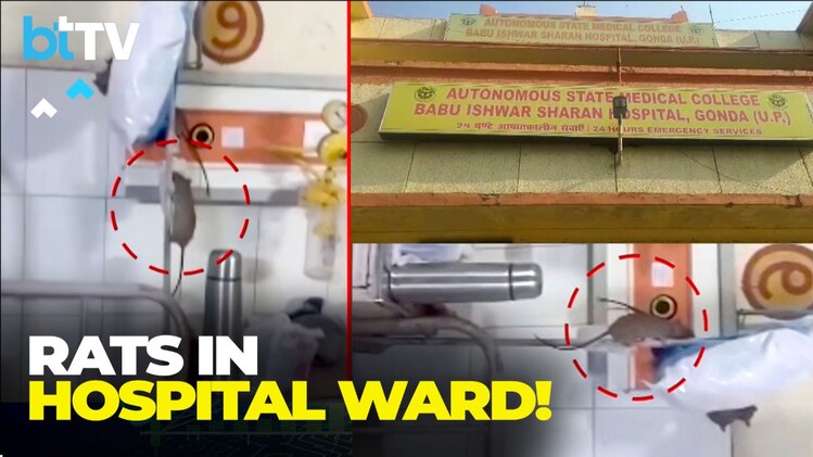 Rats roam around hospital ward in UP’s Gonda | Viral video exposes ...