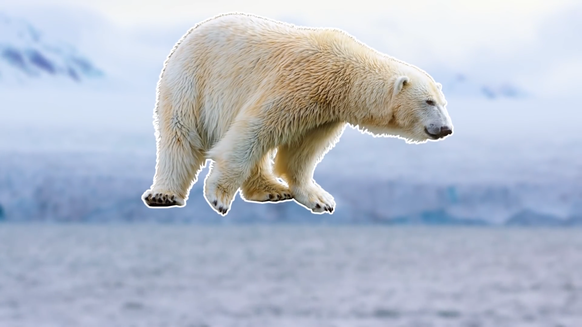 When mixed genetics produce features seen nowhere else