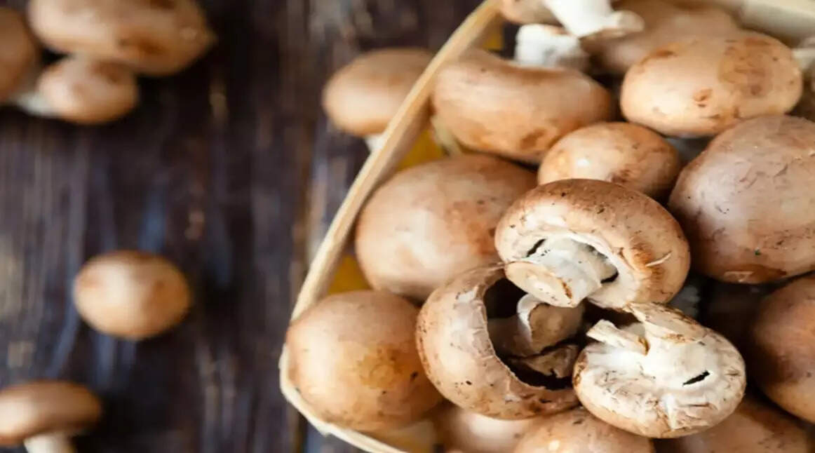 Start at home and earn up to ₹50,000 easily