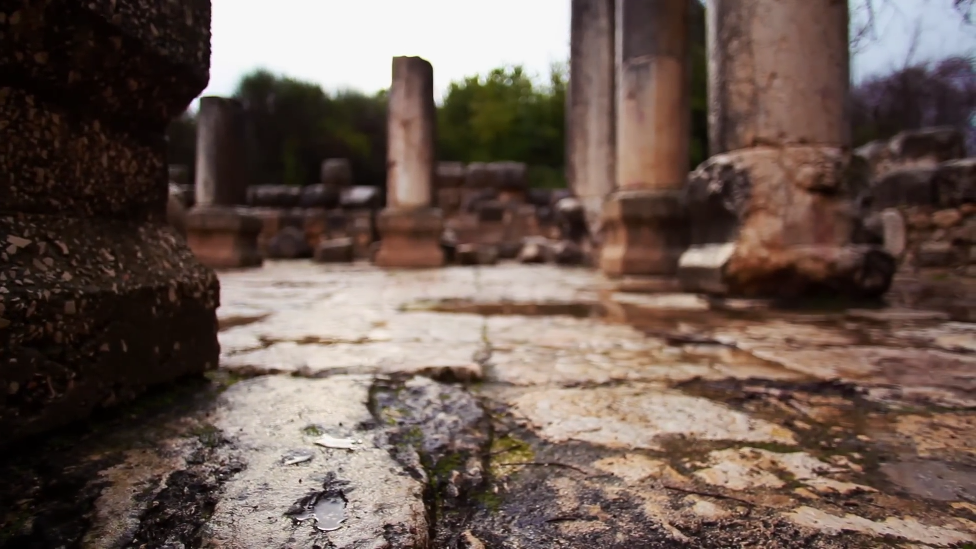 There's no way this is real - his words before seeing the evidence