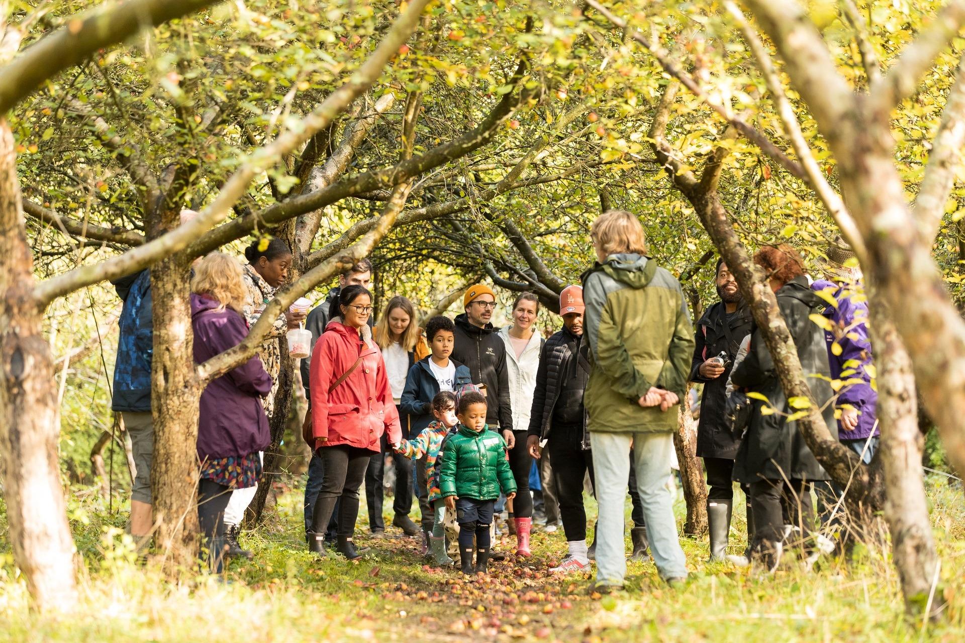 Largest orchard in Milton Keynes celebrates 50th anniversary