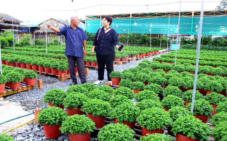 Đồng Tháp ưu tiên hỗ trợ liên kết sản xuất 8 ngành hàng nông nghiệp