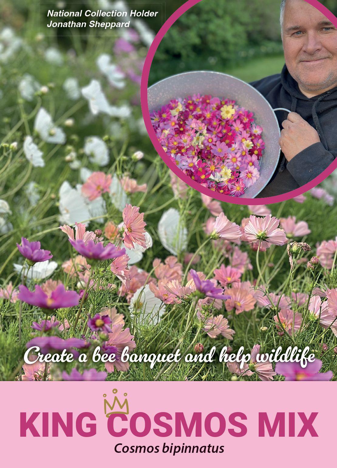 “King Cosmos” in 1 million seed give away