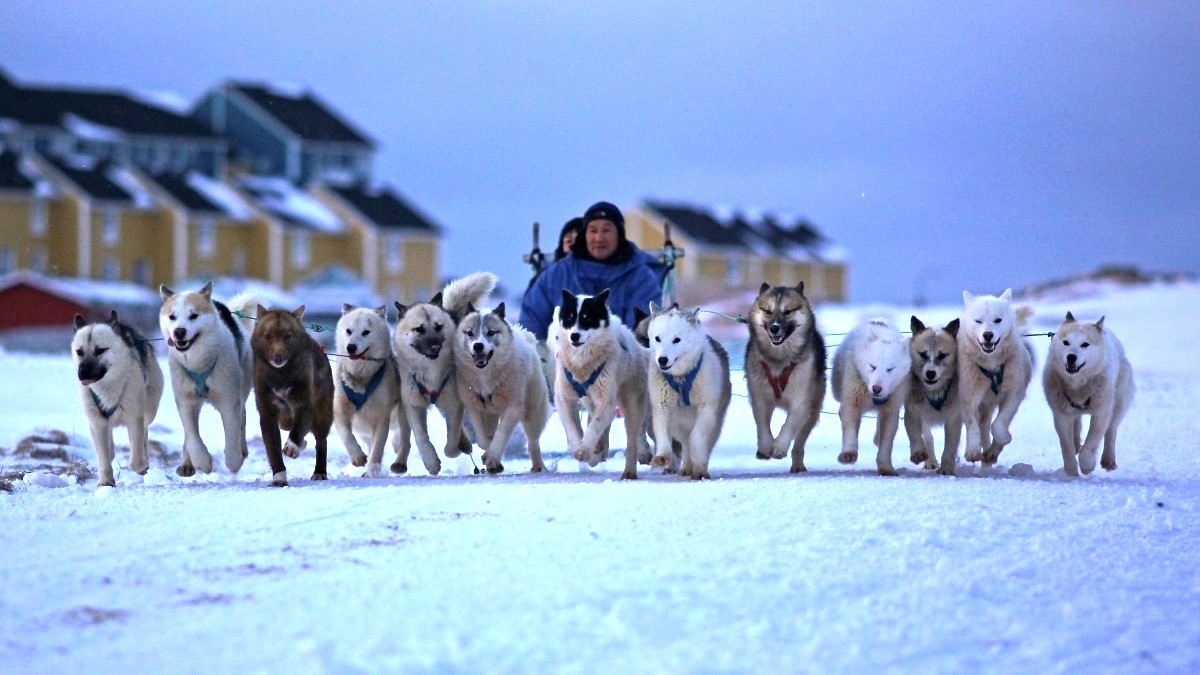 Resources top 5: Dalaroo’s sampling success draws eyes to Greenland ...