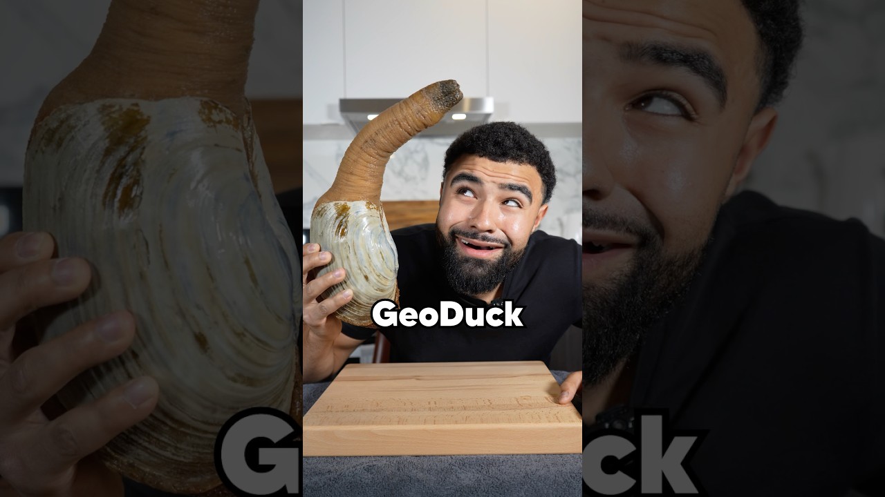 Trying geoduck clam