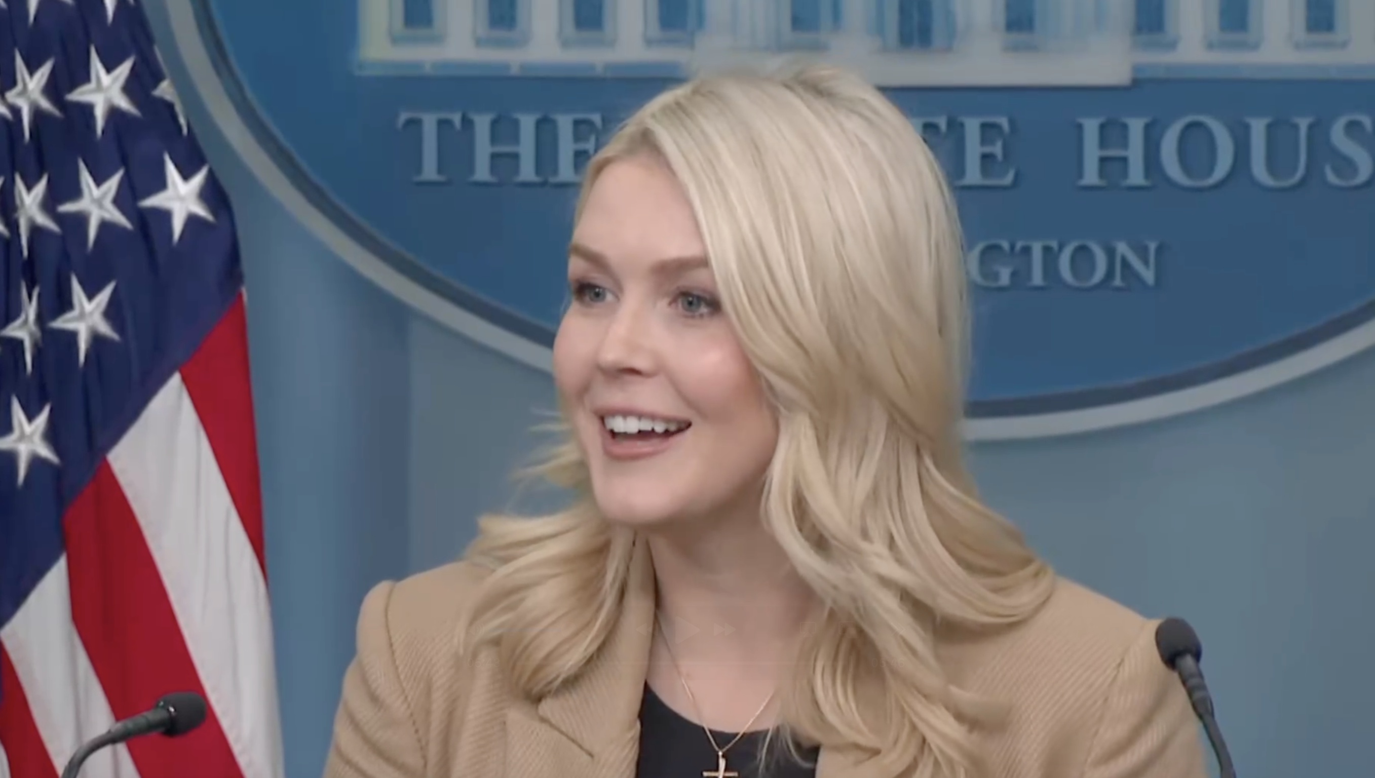 'Only President Trump knows what he's going to do': Karoline Leavitt ...