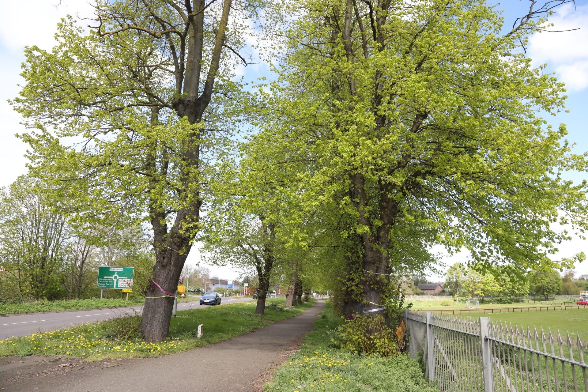 Council executive to discuss 'risk-based' approach to North ...