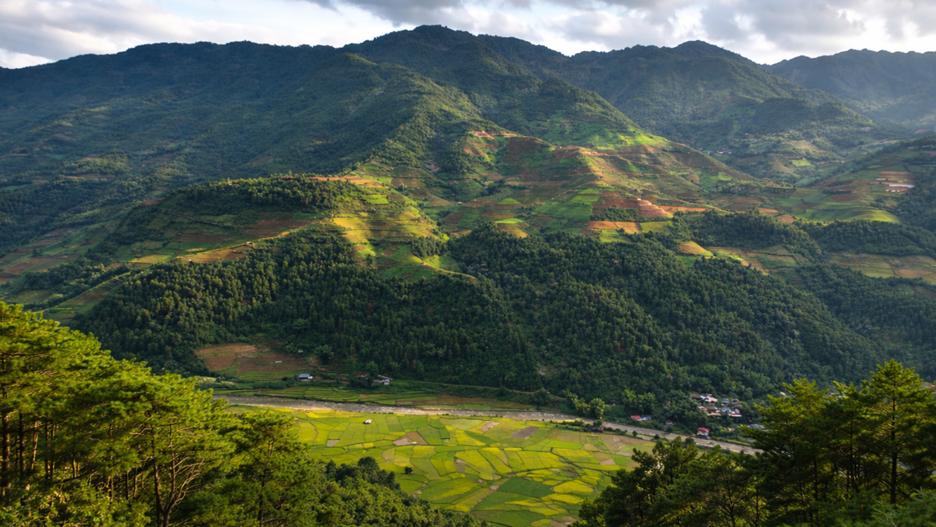 Ahol az erdő találkozik a szántófölddel
