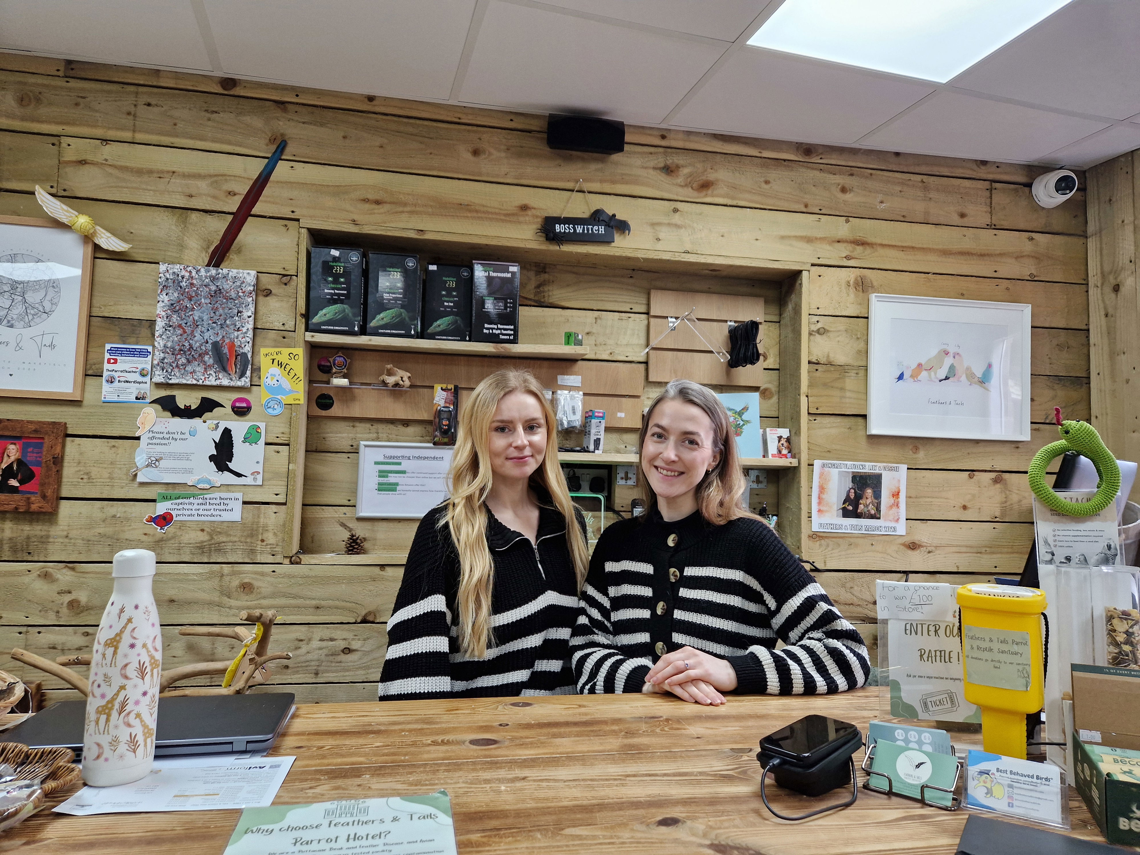 'We're crazy bird people': Meet the duo helping parrots find new homes