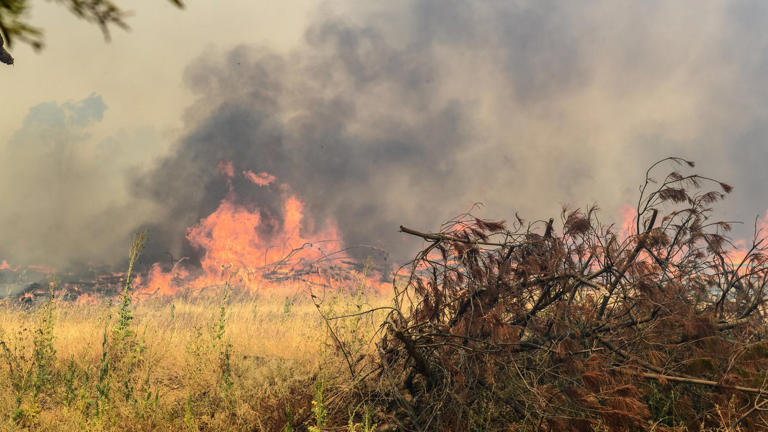 Bushfire losses mount, dangerous conditions ahead