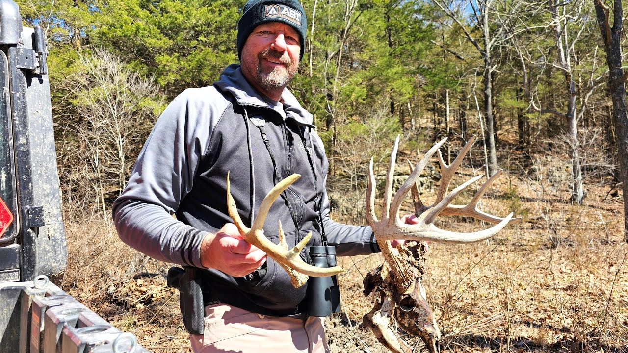 Massive 14-point buck found during Missouri antler shed hunting