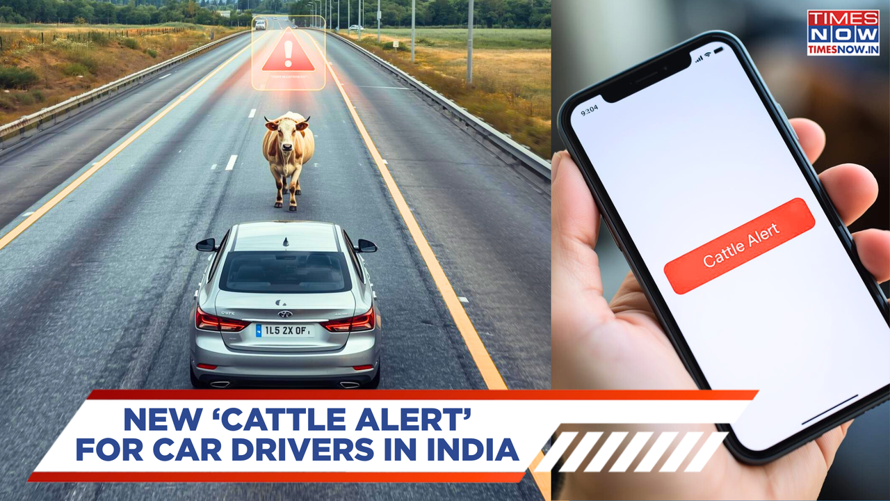 Real-time 'stray cattle' SMS and voice alert for car drivers: All about ...
