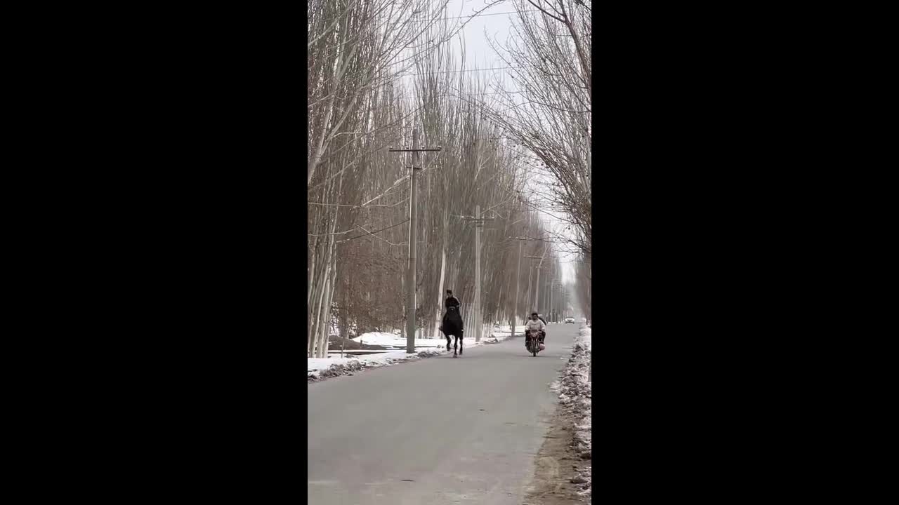 Horse racing against motorcycle in Xinjiang, China