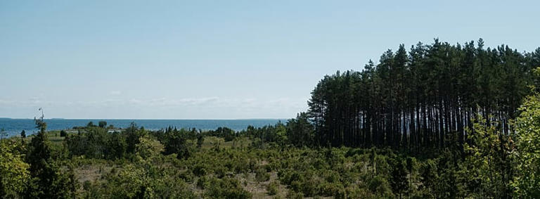 La isla de Hiiumaa, el auténtico punto débil de la OTAN en su defensa ...