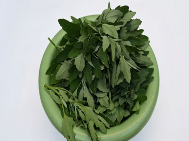 Bathua recipes: What can be made from bathua? Learn 3 easy recipes here