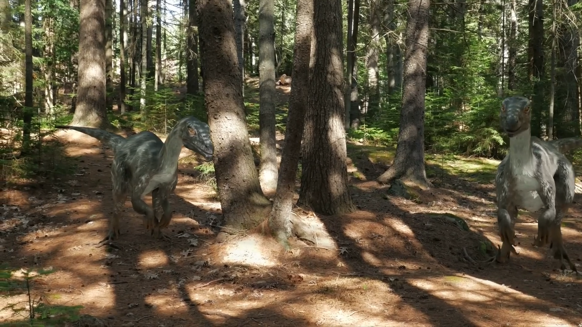 Why this Antarctic dinosaur stunned paleontologists