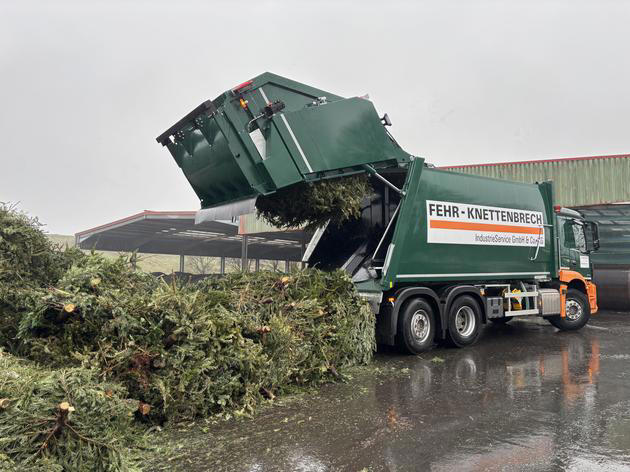 Vom Wohnzimmer auf den Acker – was passiert mit unseren Weihnachtsbäumen?