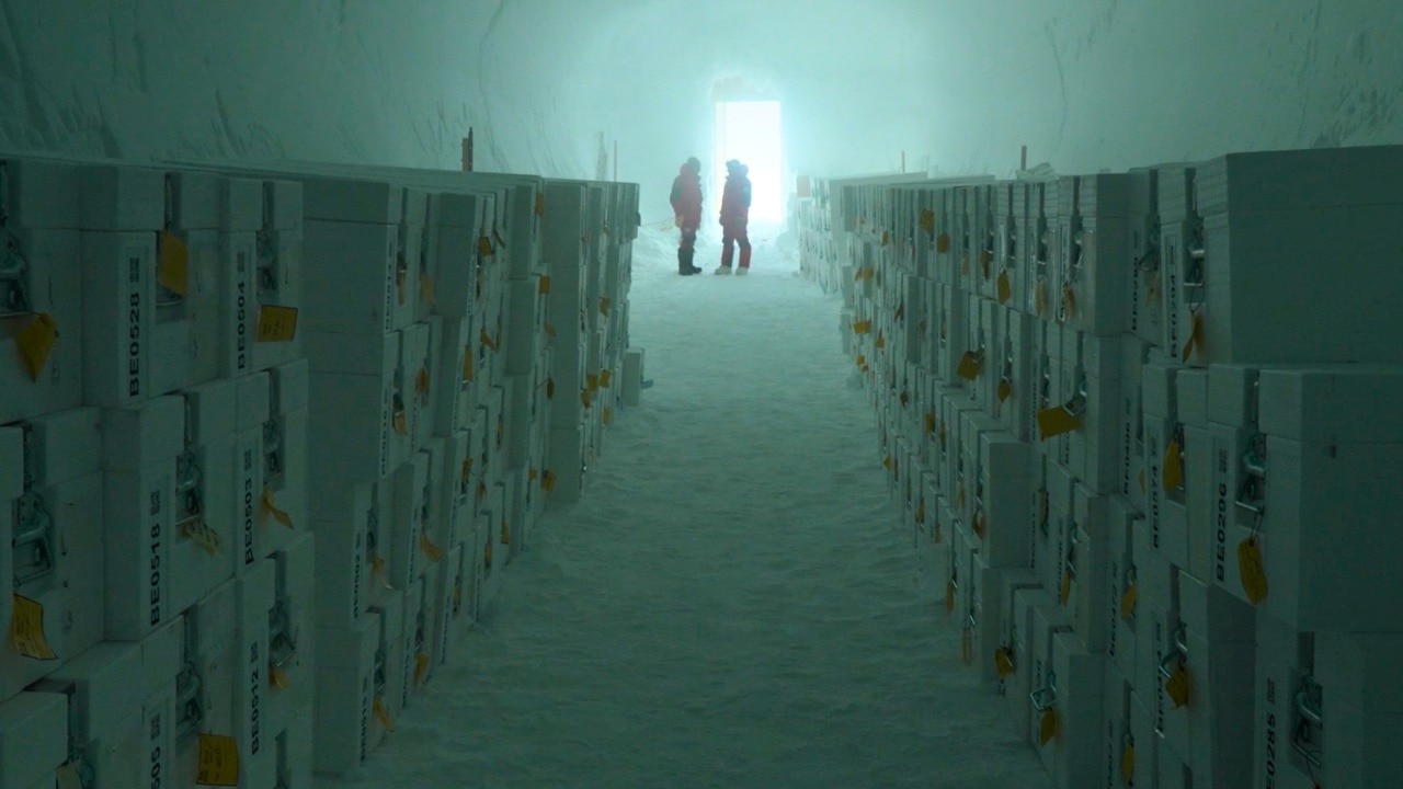 Scientists seal a backup for humanity in world's first ice vault in ...