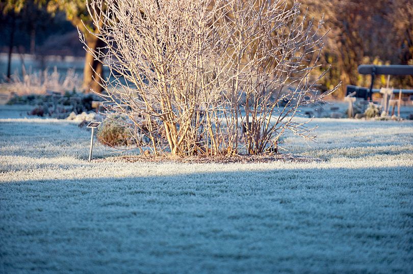 Ireland weather: Met Éireann pinpoint which counties will get frost ...