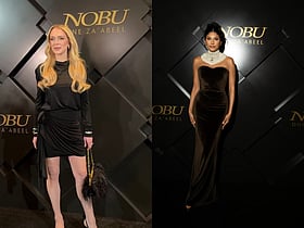 Lindsay Lohan, Jacqueline Fernandez and Farhana Bodi shine at Dubai ...