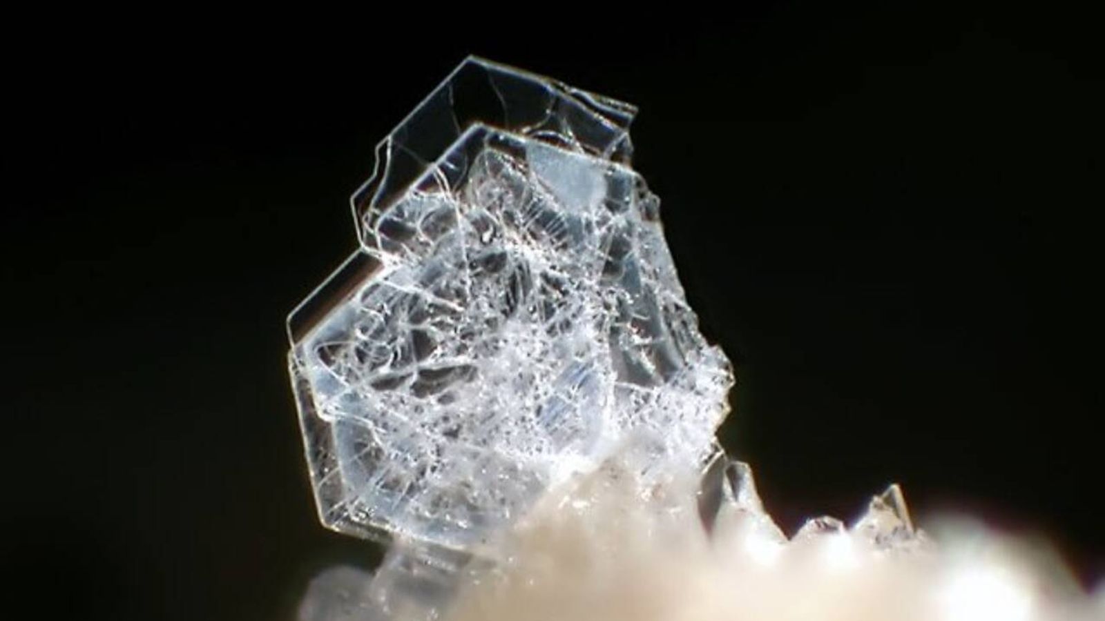 Geólogos salen a buscar oro en Australia y lo que encuentran es un ...