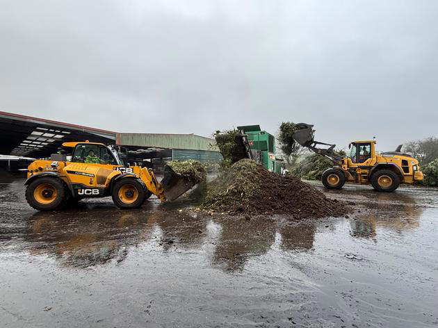 Vom Wohnzimmer auf den Acker – was passiert mit unseren Weihnachtsbäumen?