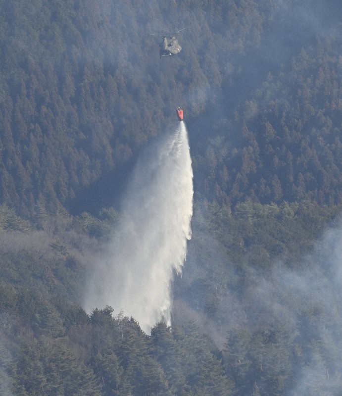 Editorial: Japan must fan public awareness to prevent forest fires