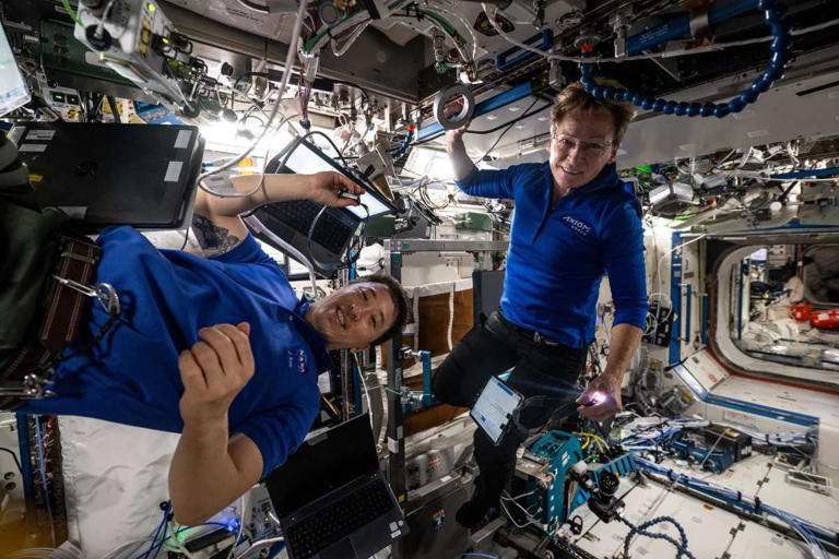 Controlled experiment allowed viruses to attack bacteria in space—and ...