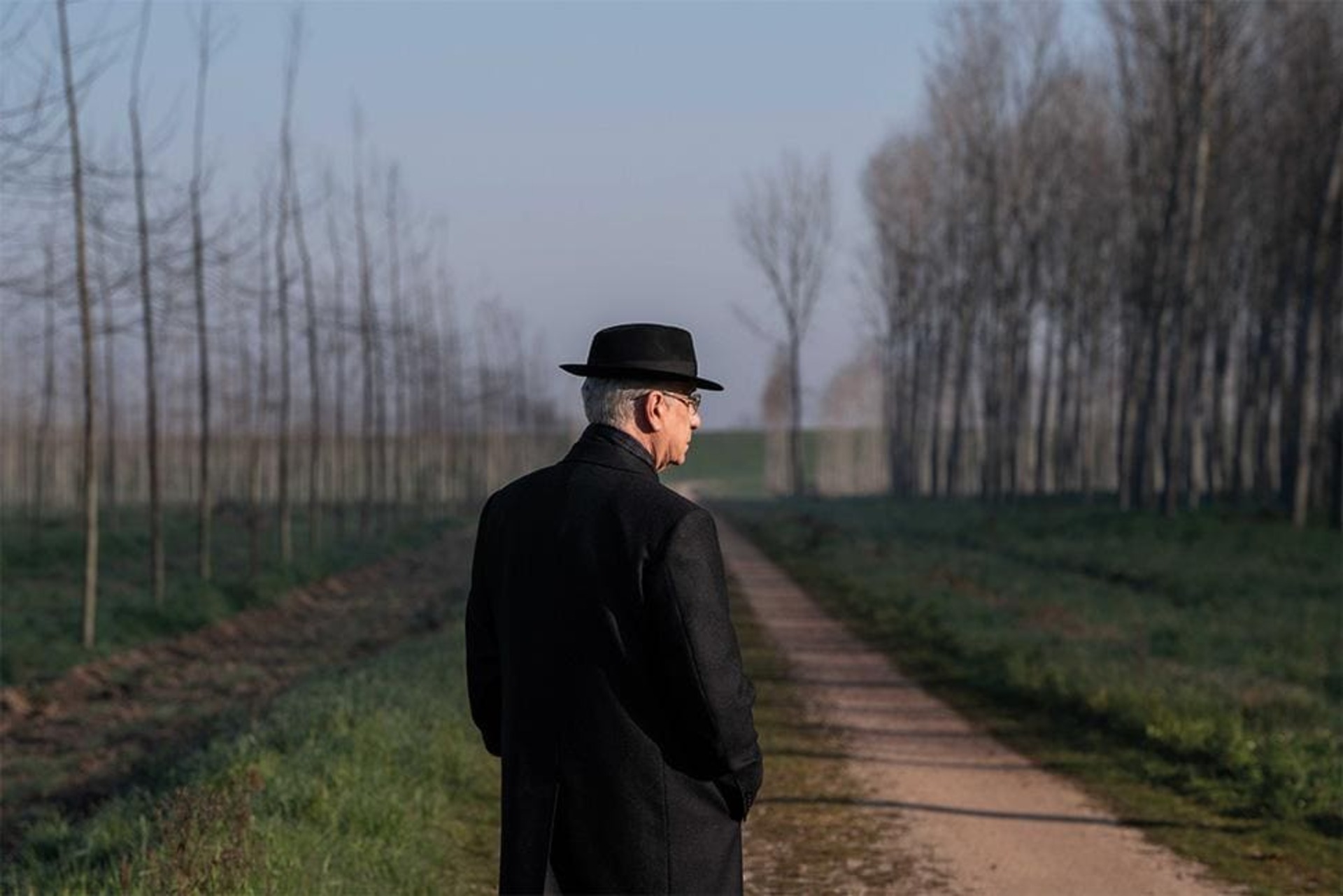 Tre film al cinema nel weekend: “La grazia”, “Divine comedy” e ...