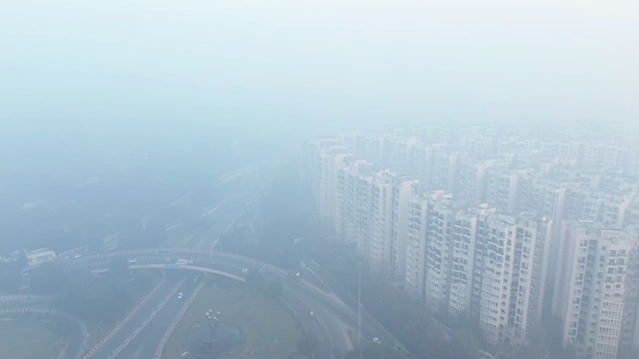 Dense fog blankets North India, zero visibility in Punjab, UP cities