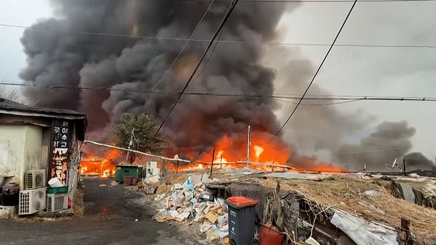 Nearly 300 firefighters deployed to fight major fire in South Korea's ...