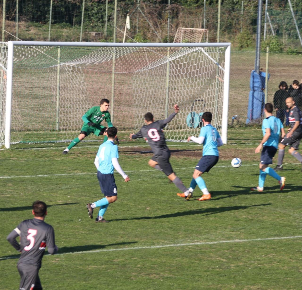 Falco vola sempre più su