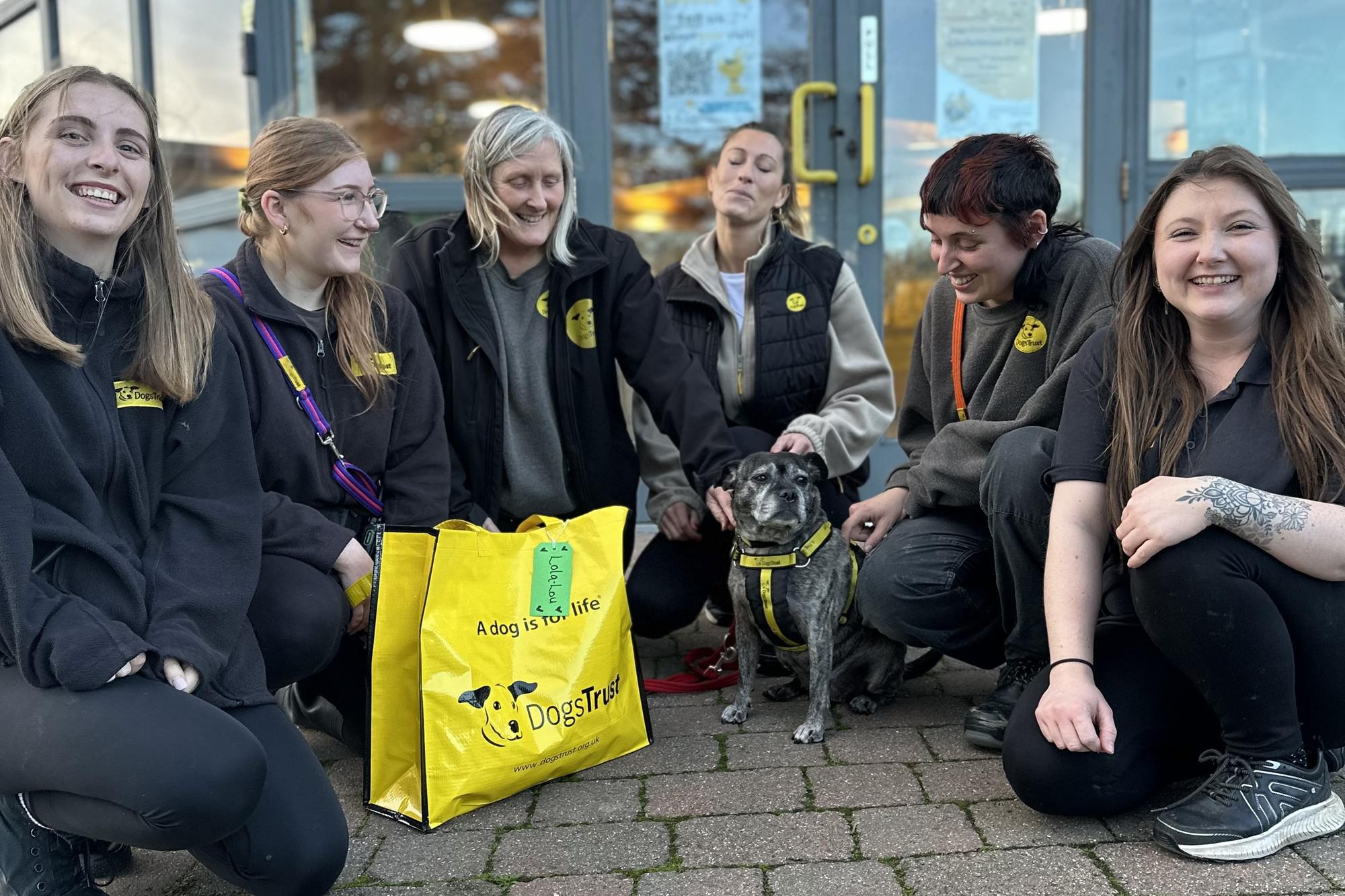 Rescue dog finally finds forever home after 500 days at Dogs Trust Shoreham