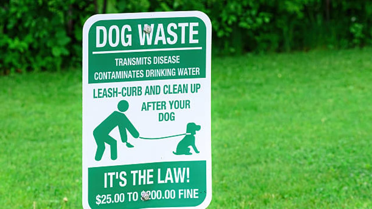 US city apartment uses DNA testing to catch owners who don't pick up ...