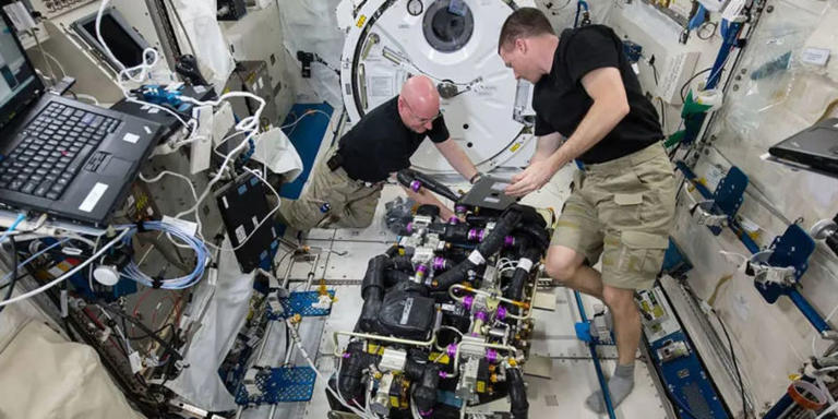 Controlled experiment allowed viruses to attack bacteria in space—and ...