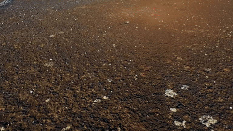 Repülőgép segítségével mutatták be, milyen lesz Max Verstappenék 2026 ...