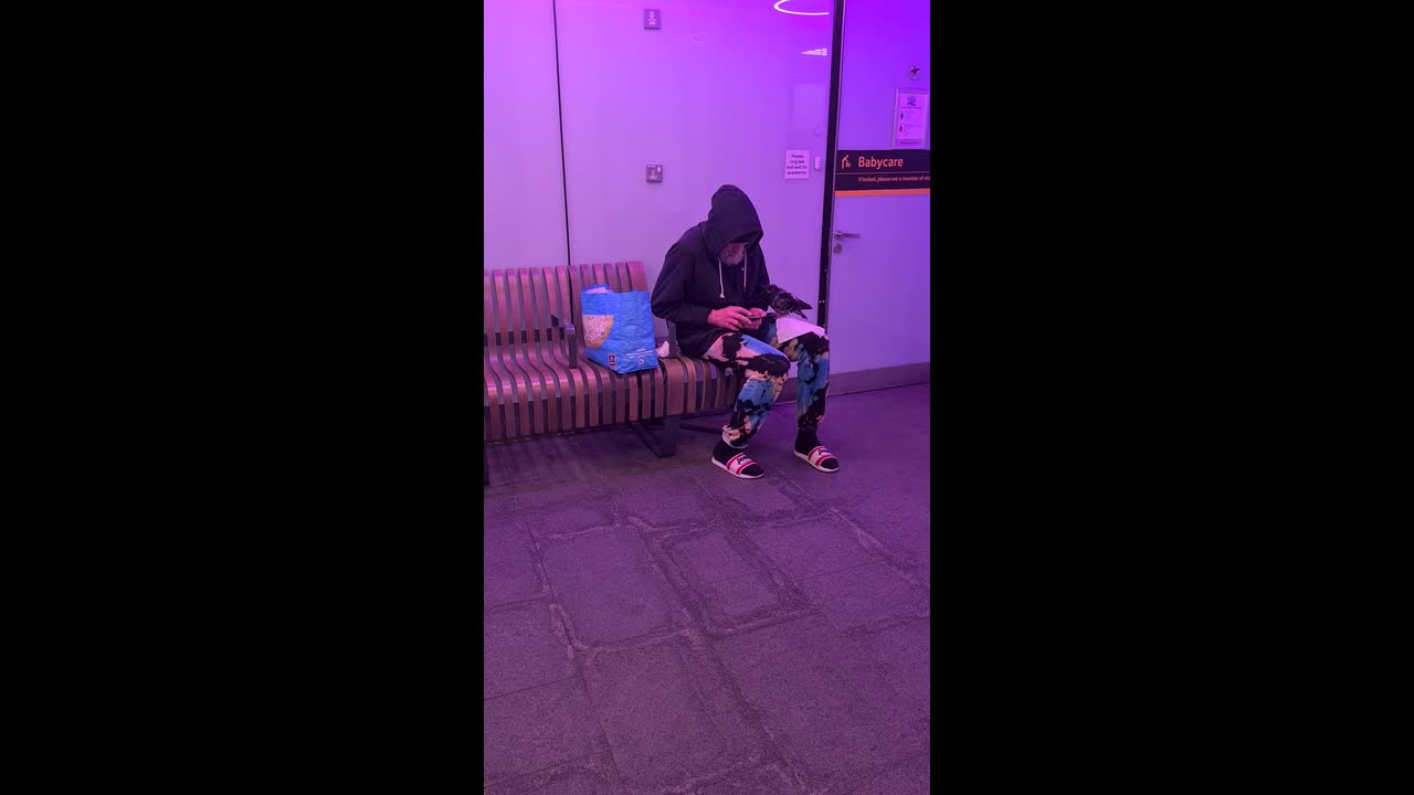 Passenger chills with his pet pigeon at train station in London