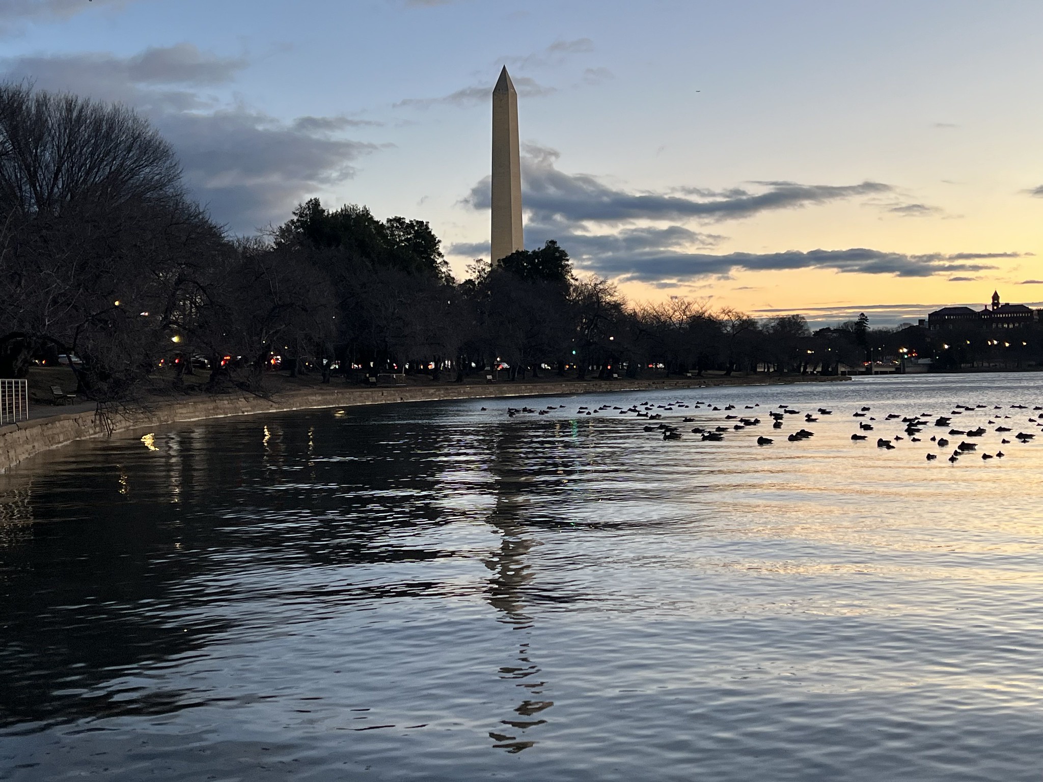 CWG live: Not as cold tonight with snow showers possible Saturday morning