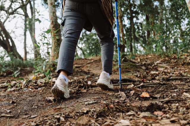 Hiker stumbles upon concerning scene while exploring forest: 'You see ...