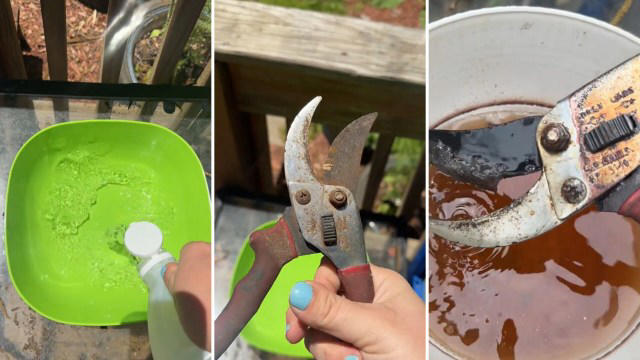 Gardener shocked by how effective 1-ingredient hack is at removing rust ...