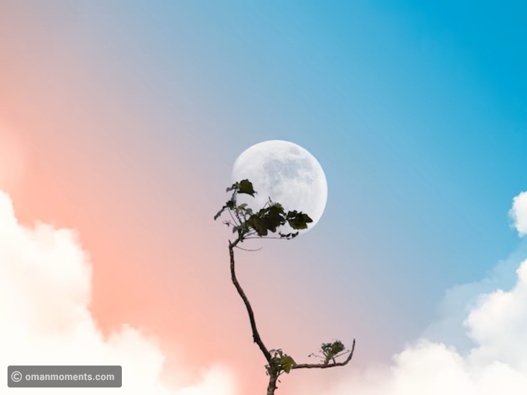 Today's moon mood: Thursday, December 25, 2025