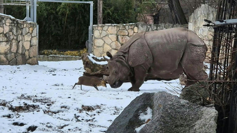 Funny old world: The week's offbeat news