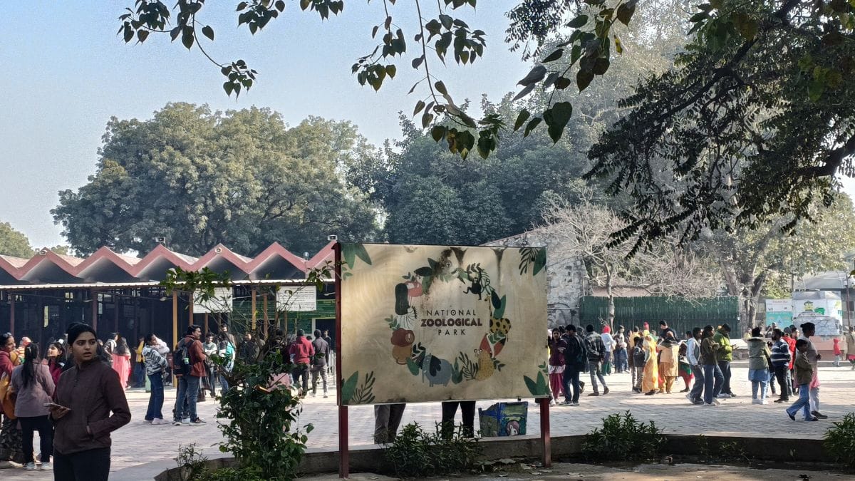 Has Delhi Zoo lost its purpose? Jackal, antelopes, elephant Shankar’s ...