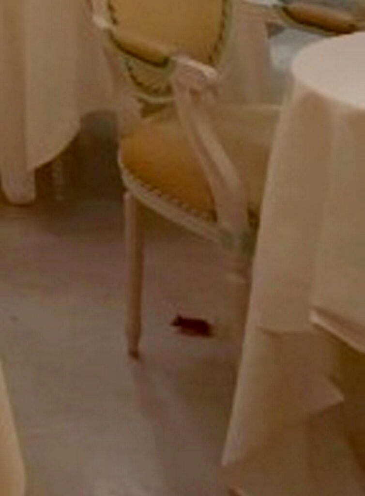 Real-life Ratatouille moment as mouse spotted at the Ritz London