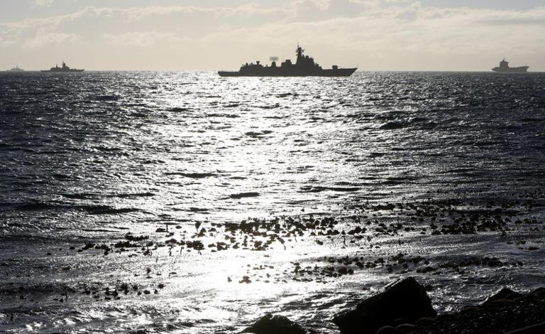 South Africa probes Iran's role in BRICS+ naval drills