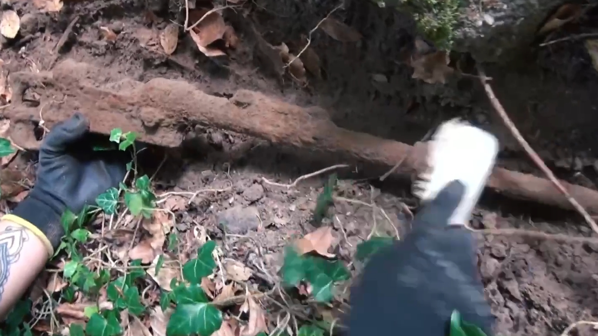 Explorer unearths a WWII German rifle at abandoned base