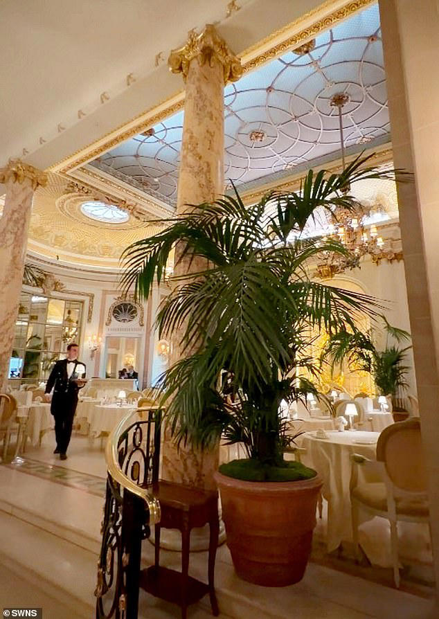 Putting off the Ritz! Afternoon tea diners are stunned to see MOUSE ...